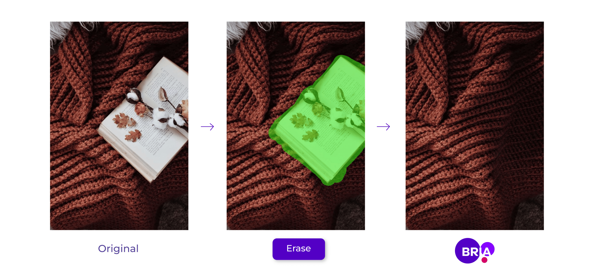 Streamline Image Editing with Bria’s Eraser