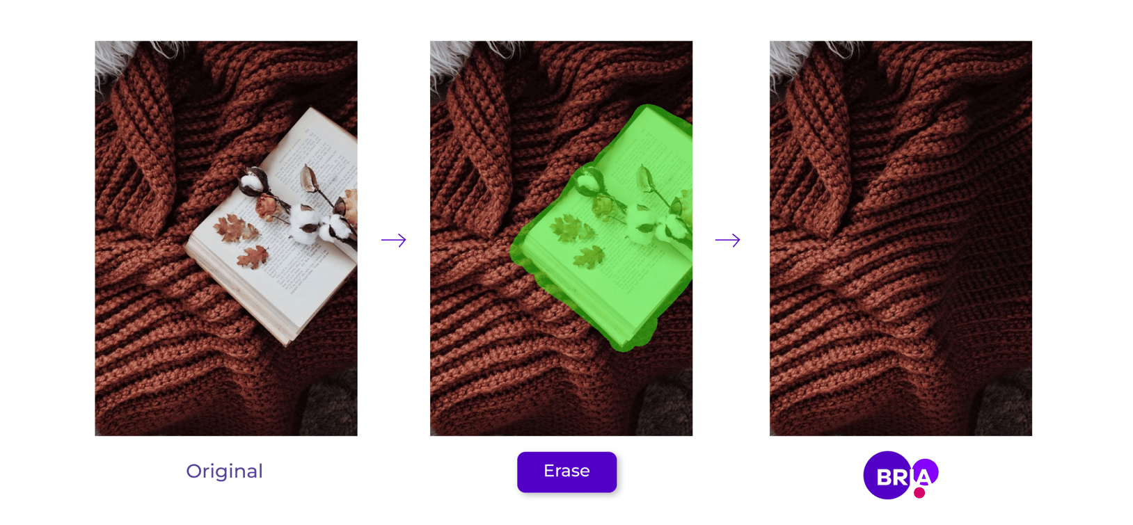 Streamline Image Editing with Bria’s Eraser